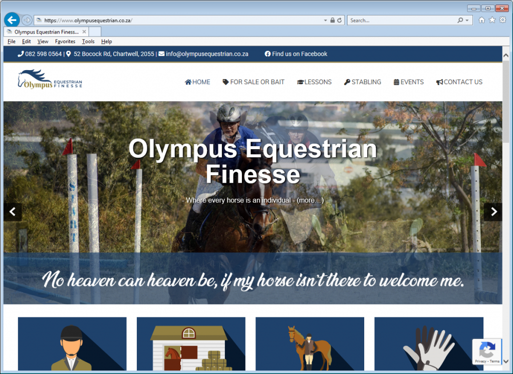 New website for Olympus Equestrian – ::pixelmagic::